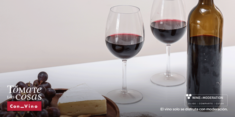 Paso a paso para una cata de vinos - Di Vino